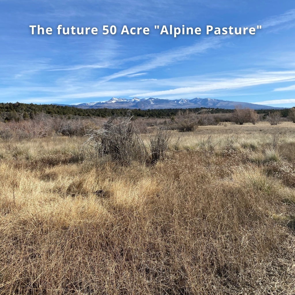 Fence More Acreage for the Alpine Wild Horses – Nirvana Mustang Sanctuary