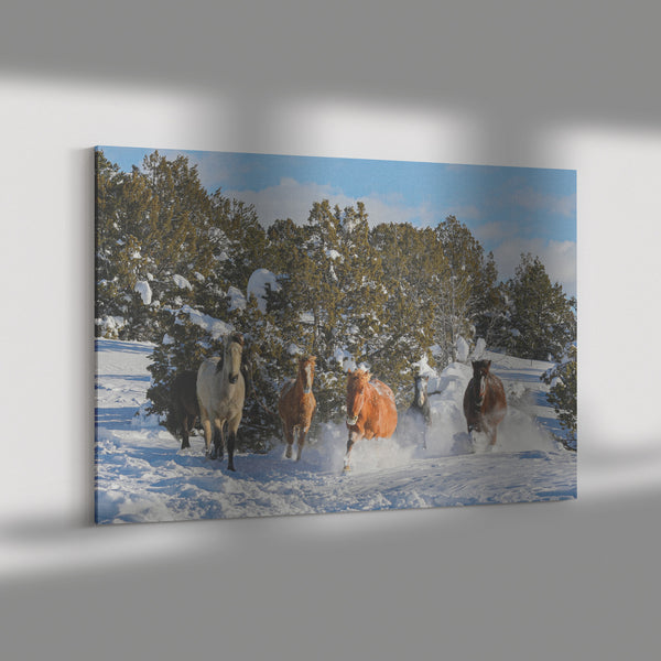 "Alpine Wild Horses Frolic" Canvas Wall Hanging – Nirvana Mustang Sanctuary