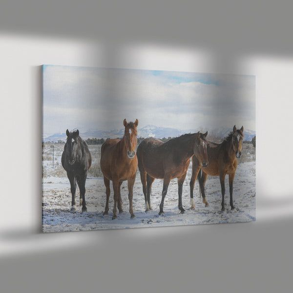 "First Snow" Canvas Wall Hanging – Nirvana Mustang Sanctuary