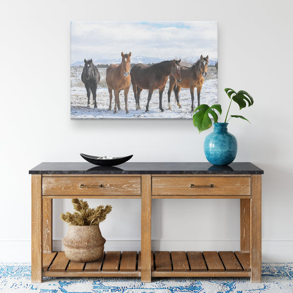 "First Snow" Canvas Wall Hanging – Nirvana Mustang Sanctuary