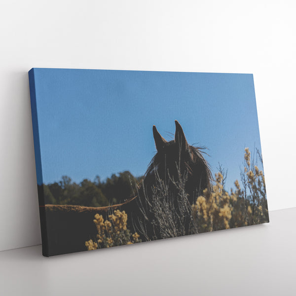 "Into the Distance" Canvas Wall Hanging – Nirvana Mustang Sanctuary